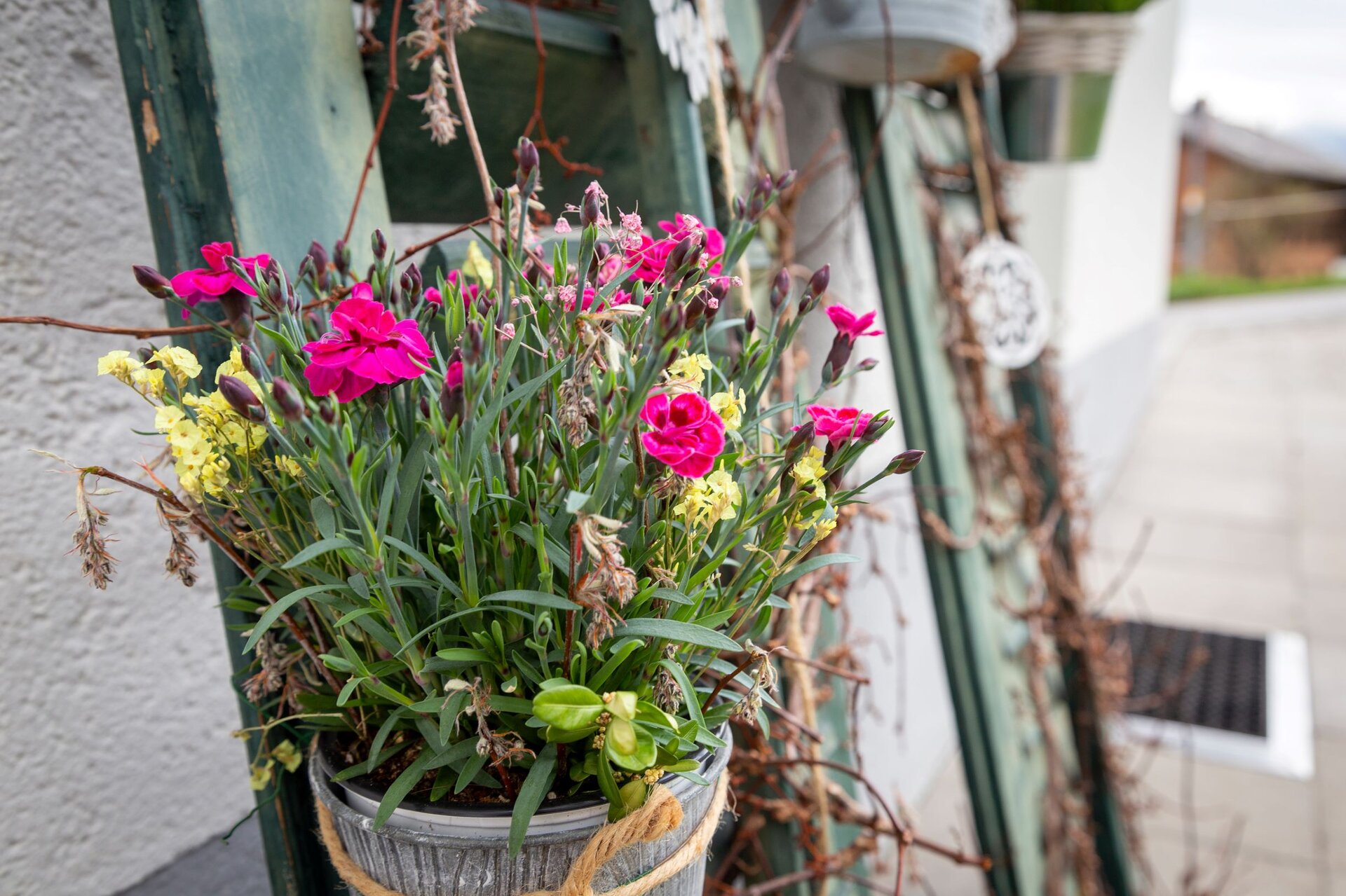 Luise – Die Reinigungsfachkraft